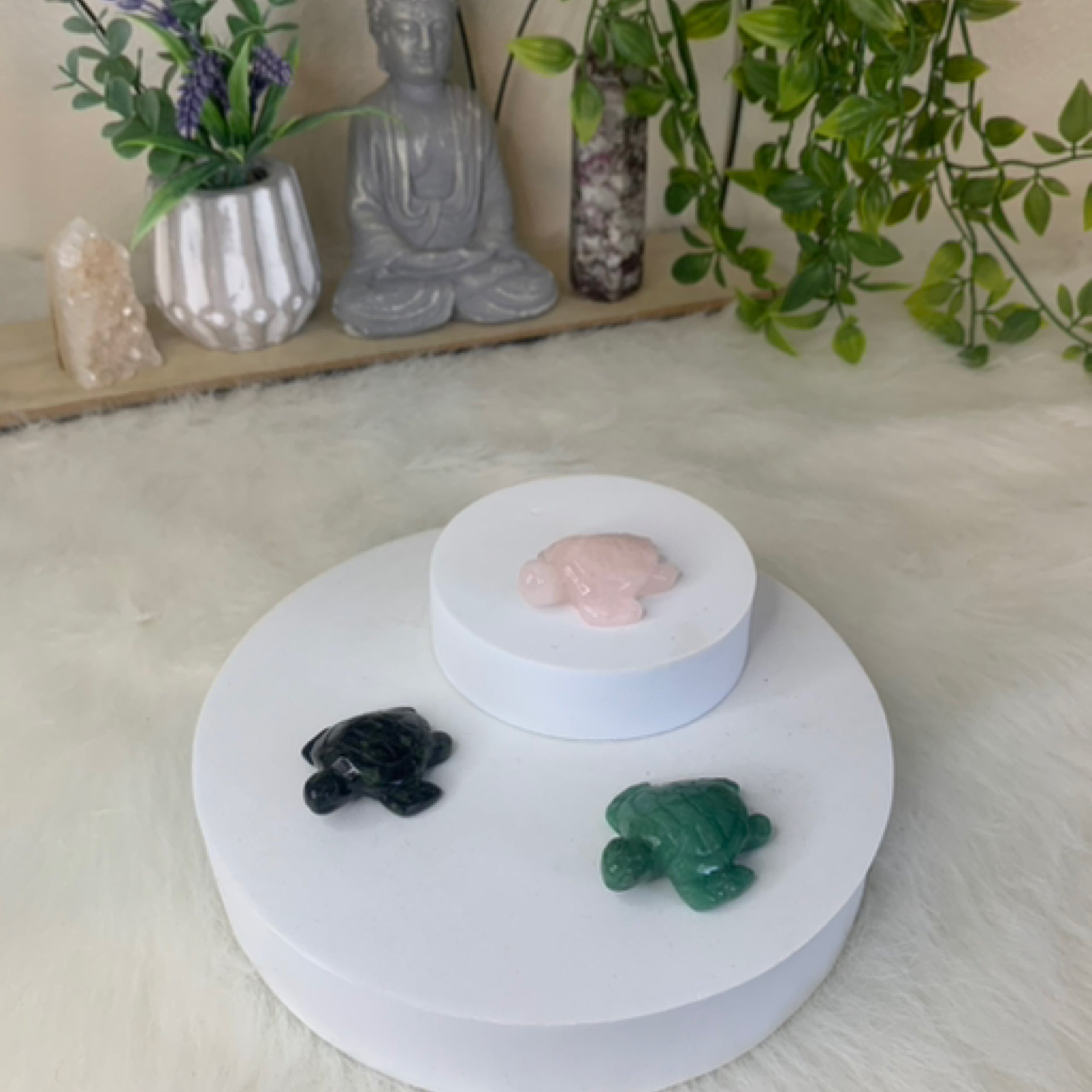 Crystal Sea Turtle | The Oak Tree Gems & Minerals