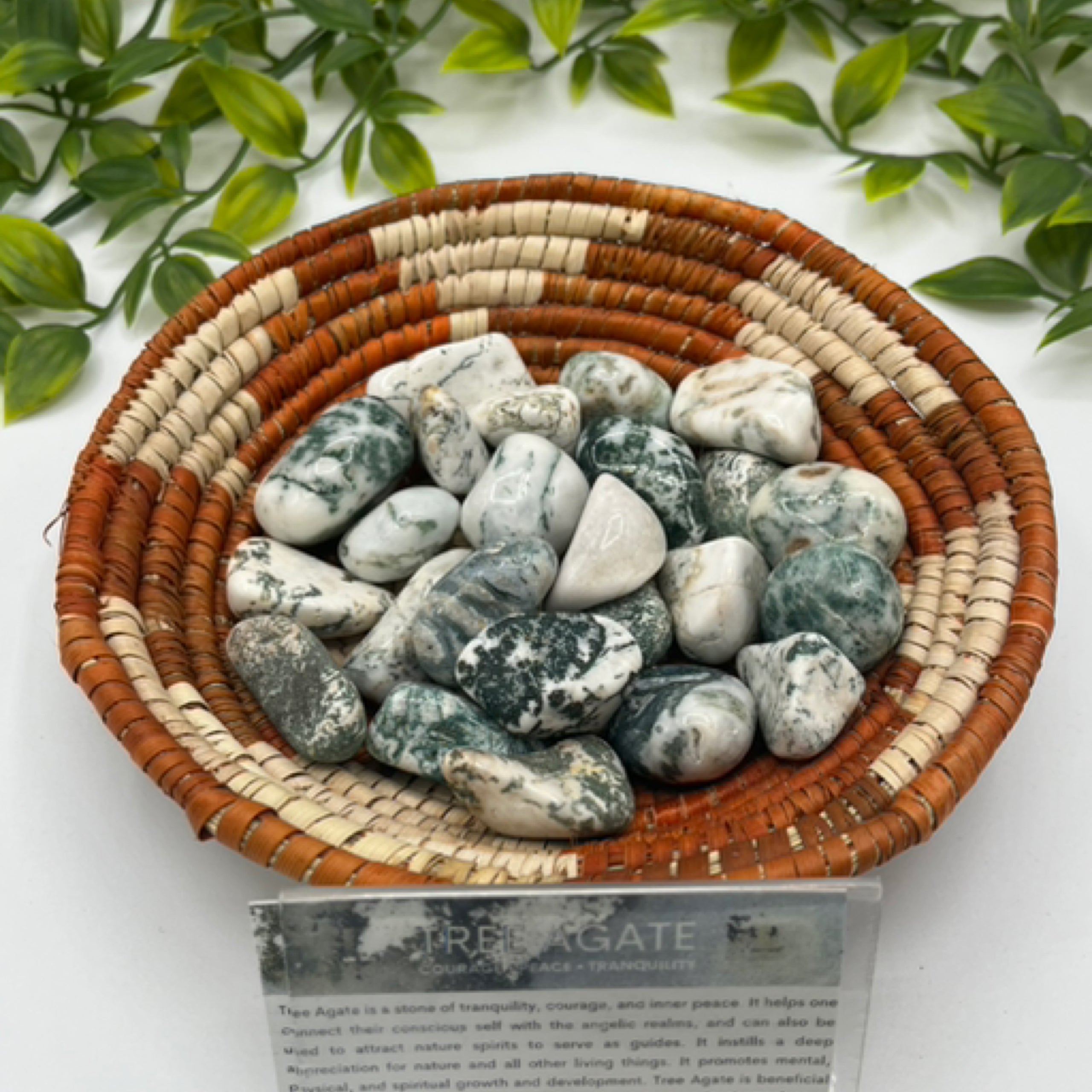 Tree Agate Tumbled | The Oak Tree Gems & Minerals